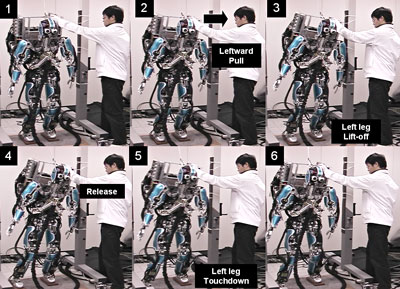 Full-Body Motion Control and Learning for Biped Humanoids